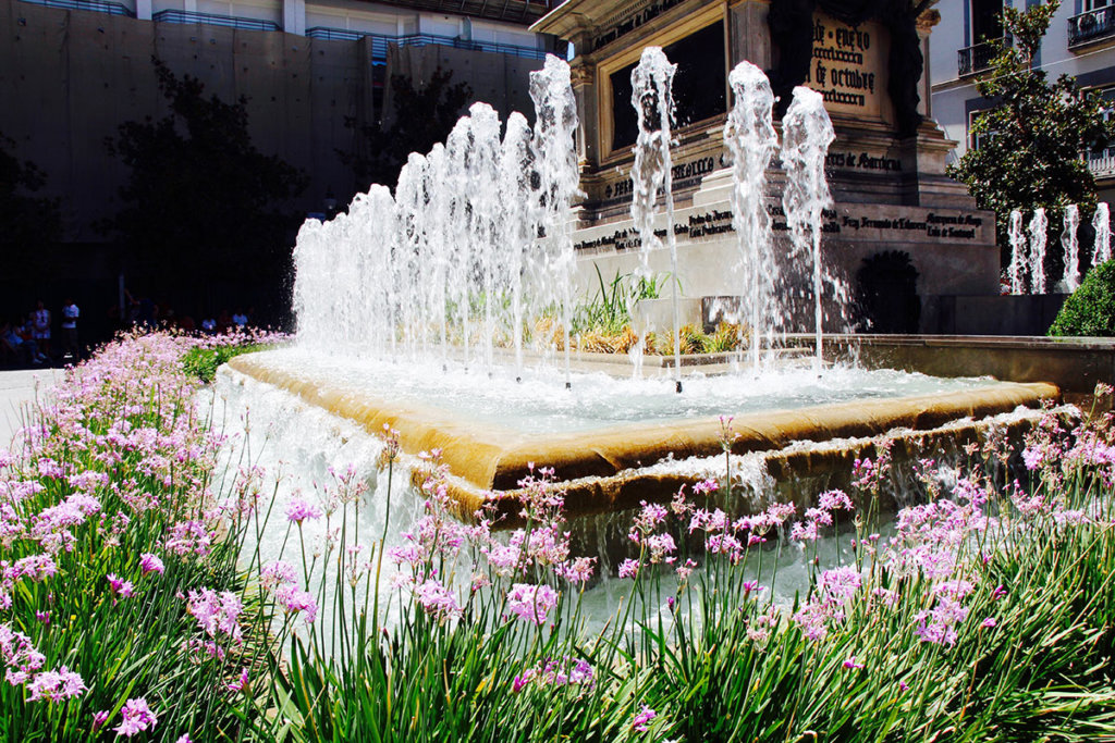 The Language Barrier • Countries & Cultures