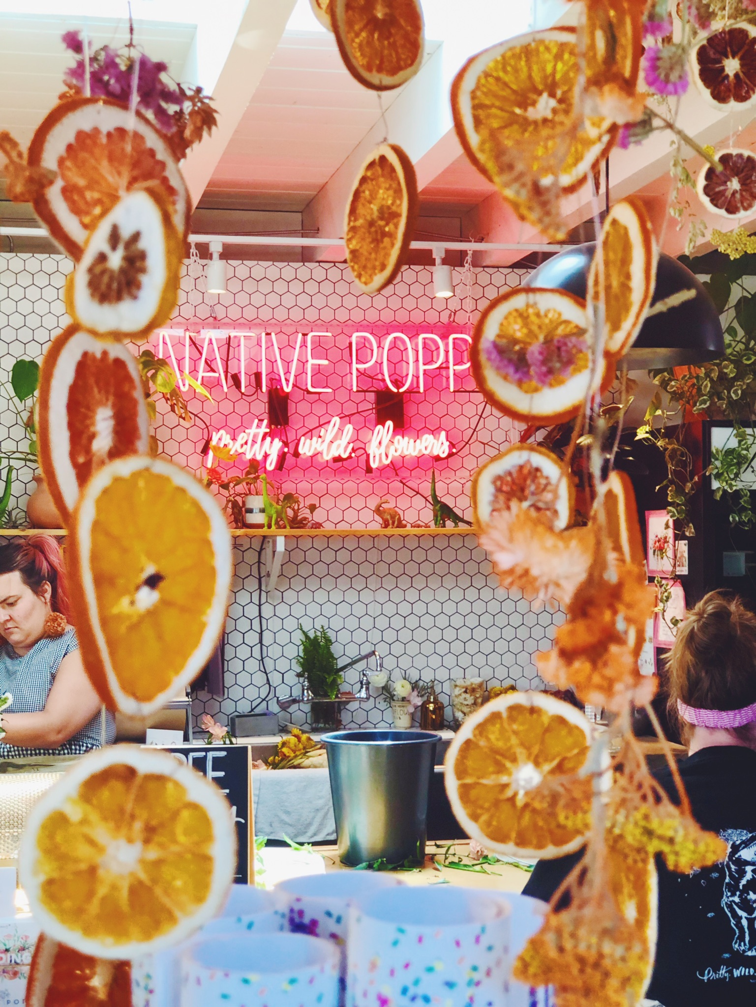 Communal Coffee - San Diego, California • Countries & Cultures